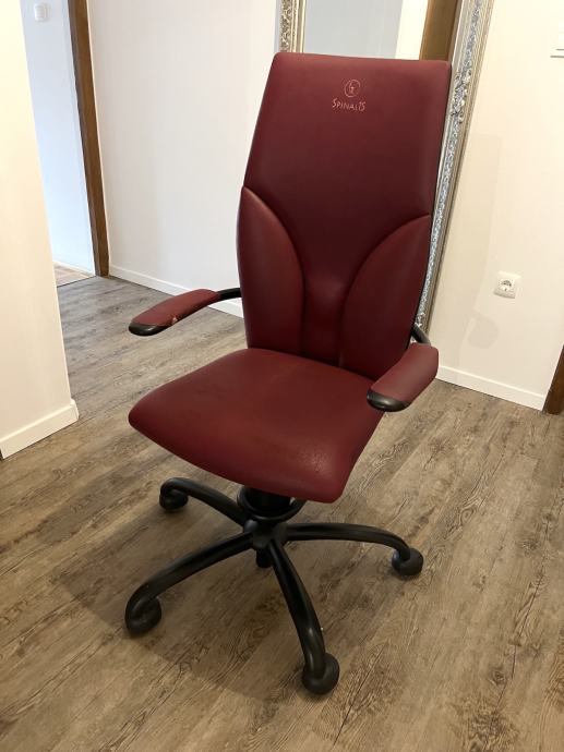 Ergonomski pisarniški stol Spinalis Apollo