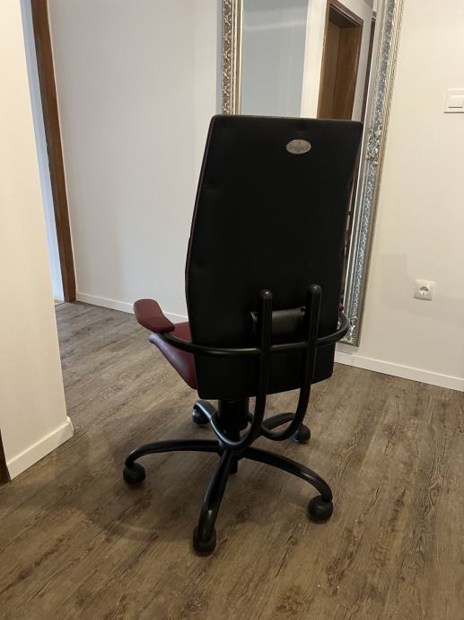 Ergonomski pisarniški stol Spinalis Apollo