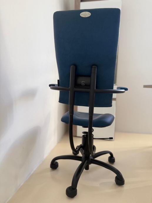 Pisarniški stol Spinalis Apollo