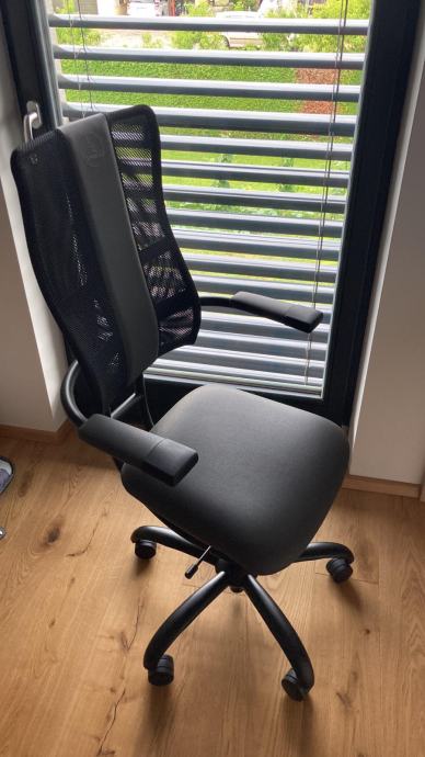 Stol Spinalis Hacker