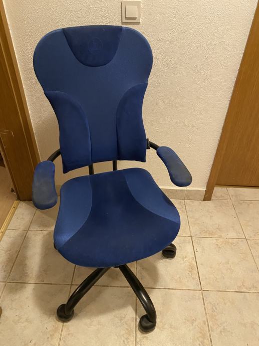 Stol spinalis spider