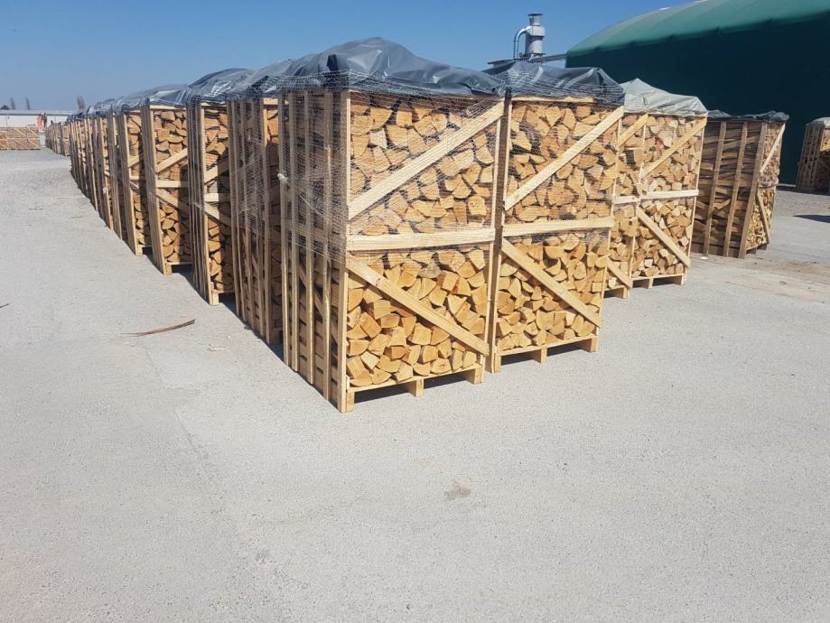 BUKOVA DRVA PRODAM MARIBOR, ŠENTILJ, LENART, PTUJ,..