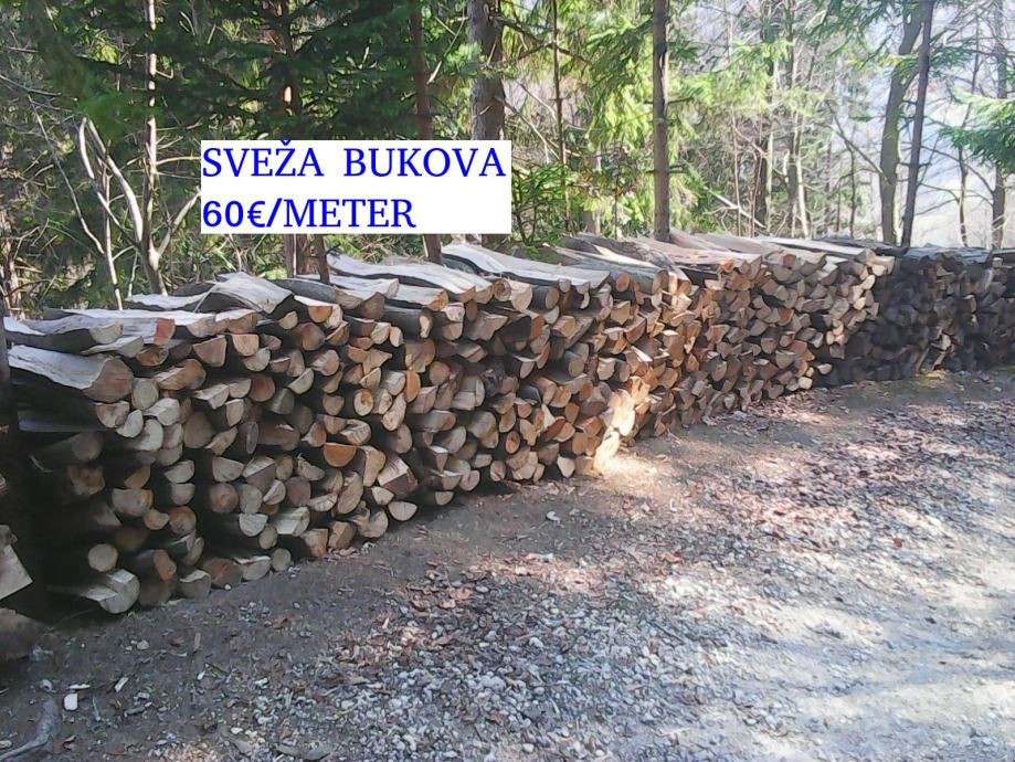 Bukova, hrastova in mešana drva, suha ter sveža