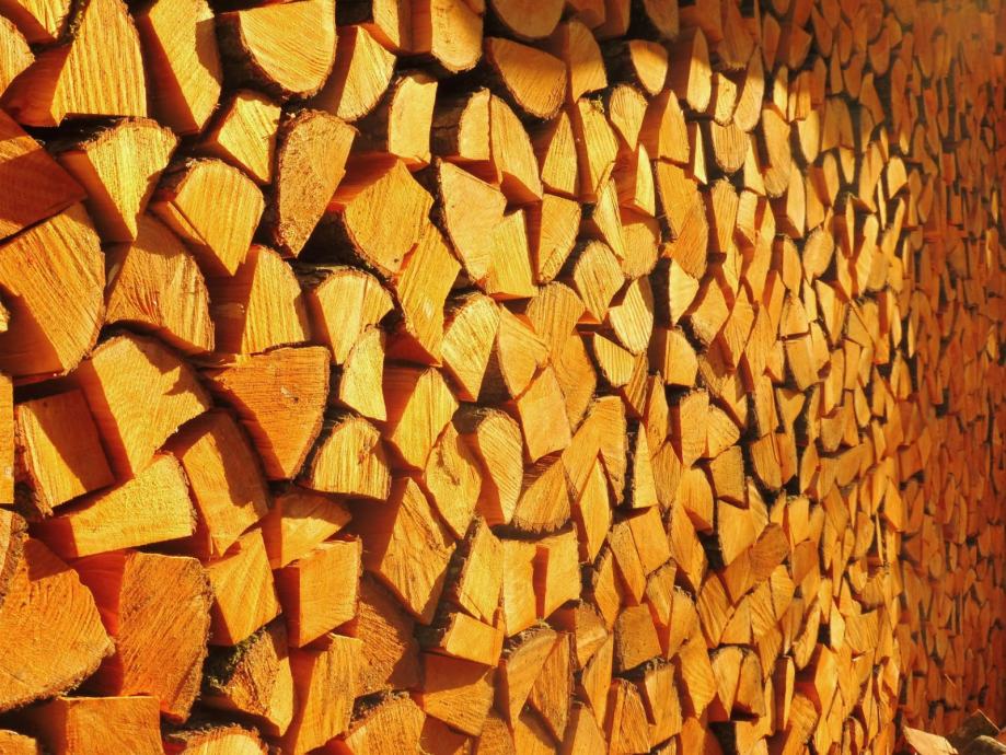 SUHA BUKOVA IN JESENOVA DRVA