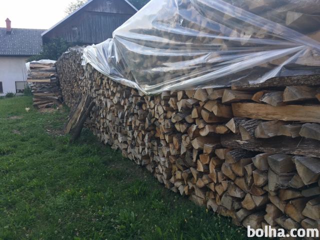 Suha drva - bukev, hrast