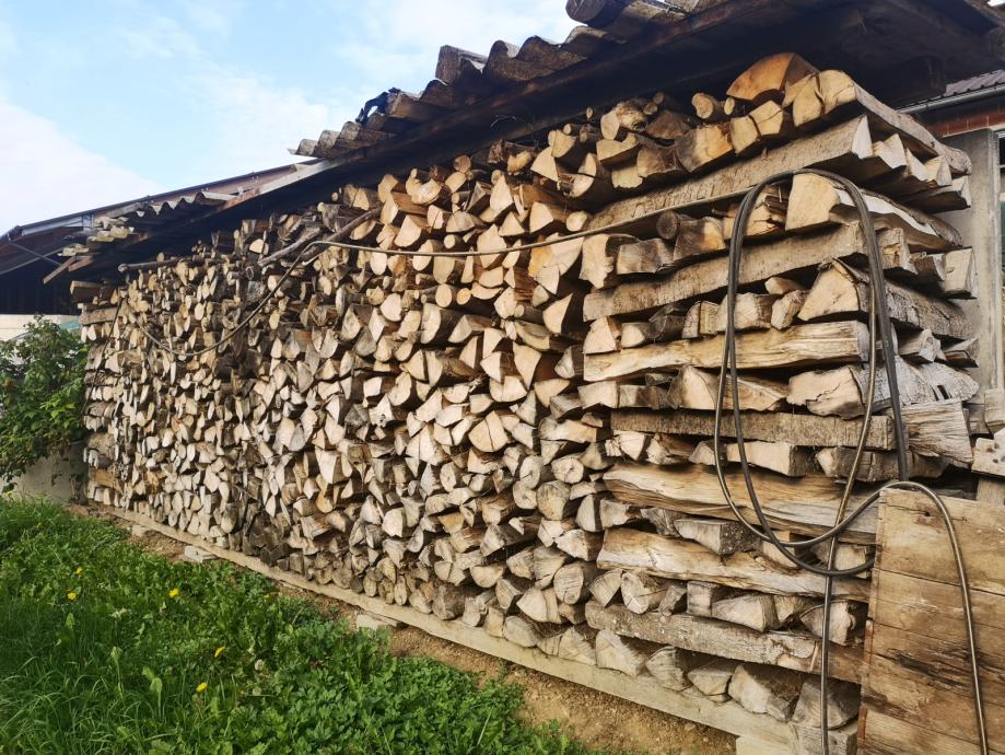 Suha drva okolica Trebnjega / Dolenjska