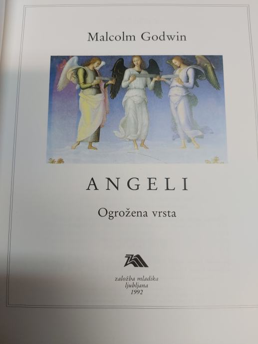 GODWIN ANGELI, OGROŽENA VRSTA