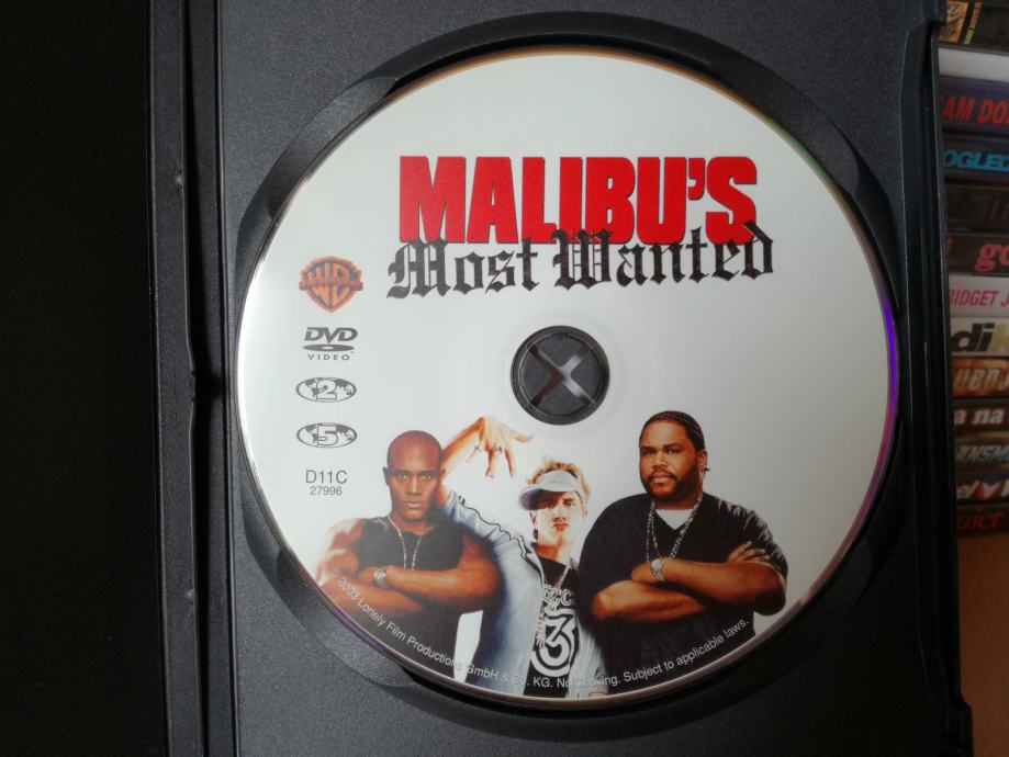 Malibus Most Wanted (2003)