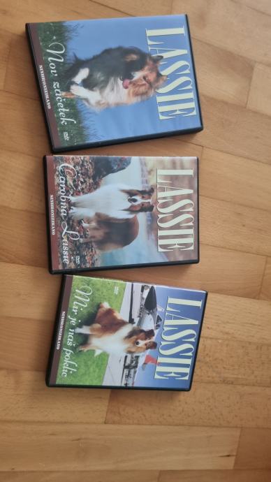 Risanke in risani filmi