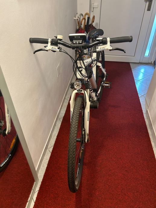 Giant roam predelano elektricno kolo