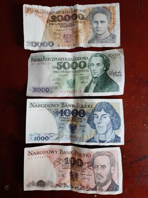 Poljski zlot