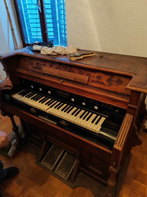 Orgle/klavir