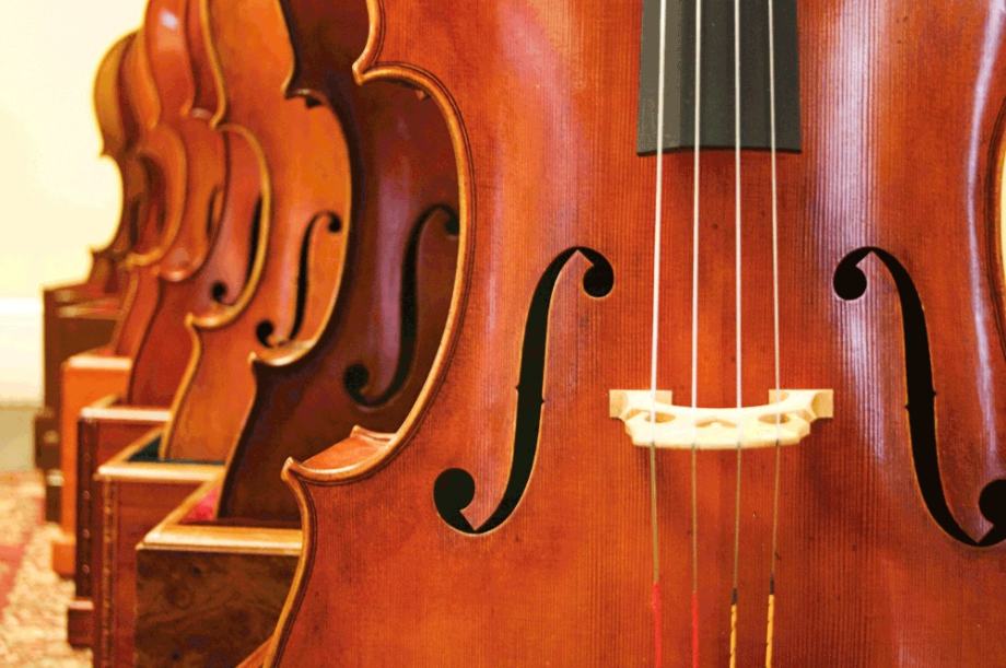 Najem in izposoja violončela, violone, violončelo in violina izposoja