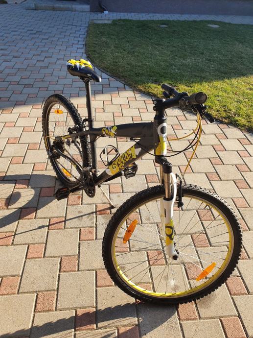 Cygnus dirt pro 26
