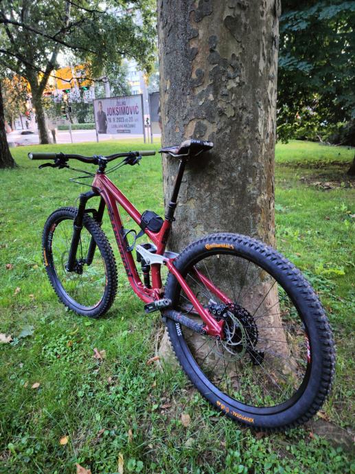 ENDURO: Transition Sentinel V1 alloy (L) 29