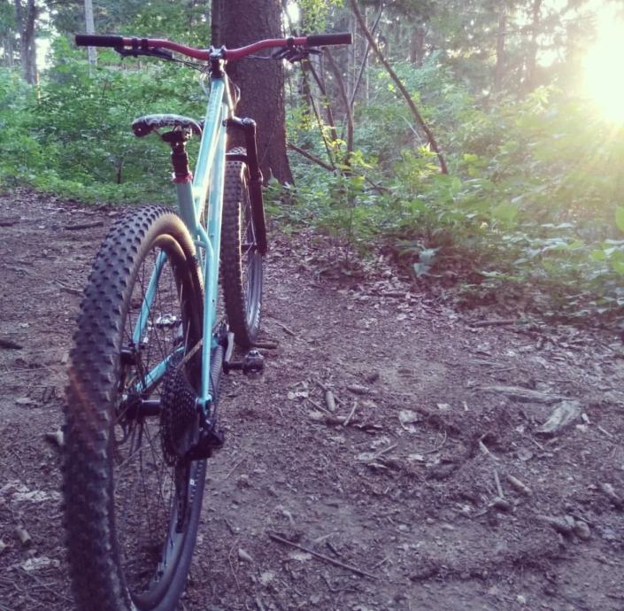 Pole Taival hardtail