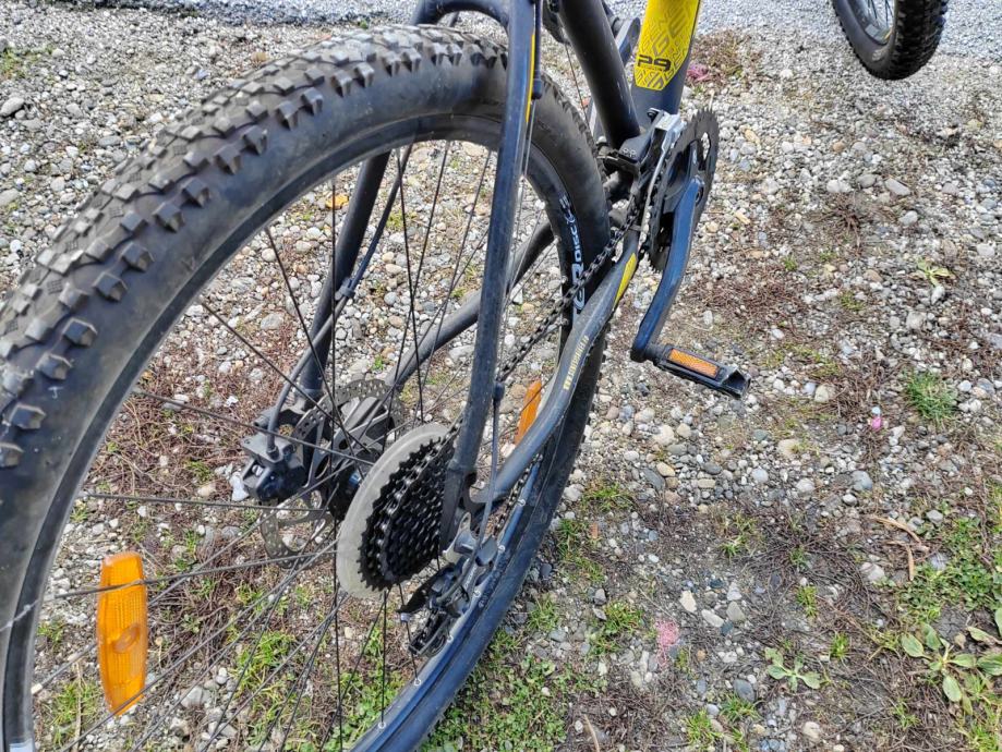 Scott genesis