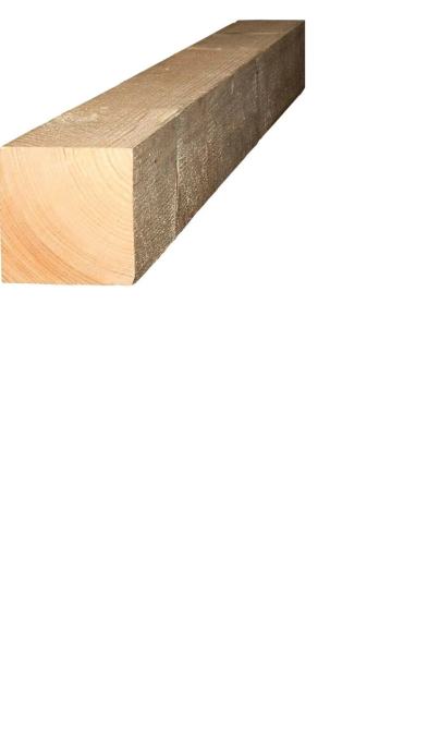 lesena letev za konstrukcijo 10x10cm