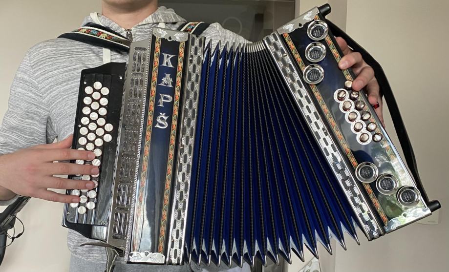 zelo dobro ohranjena KAPŠ HARMONIKA