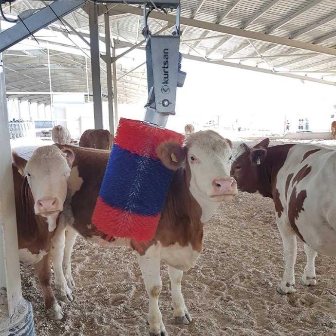 Avtomatska električna krtača za govedo