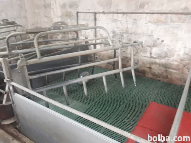 PORODNI BOKS ZA SVINJE