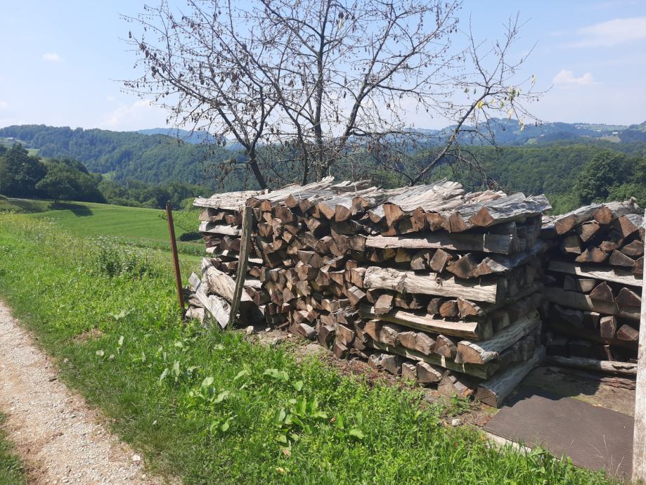 Prodam drva bukev/gaber