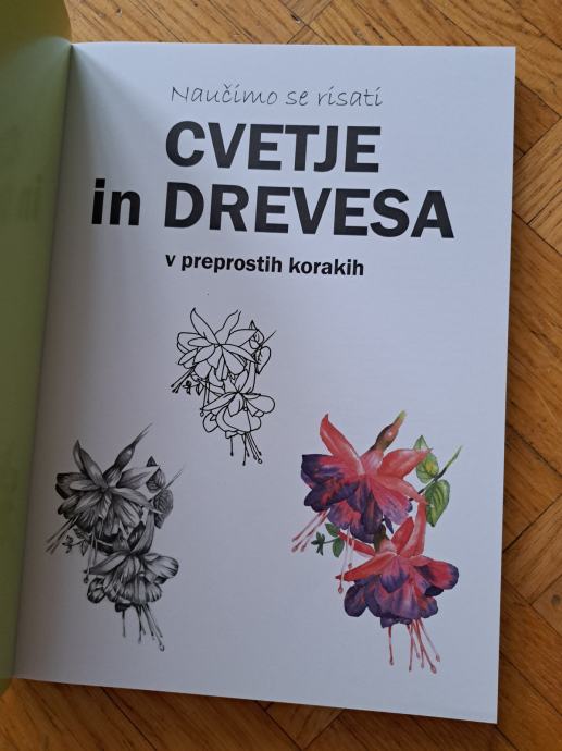 NAUČIMO SE RISATI CVETJE IN DREVESA - JANET WHISTTLE, PENNY BROWN,...