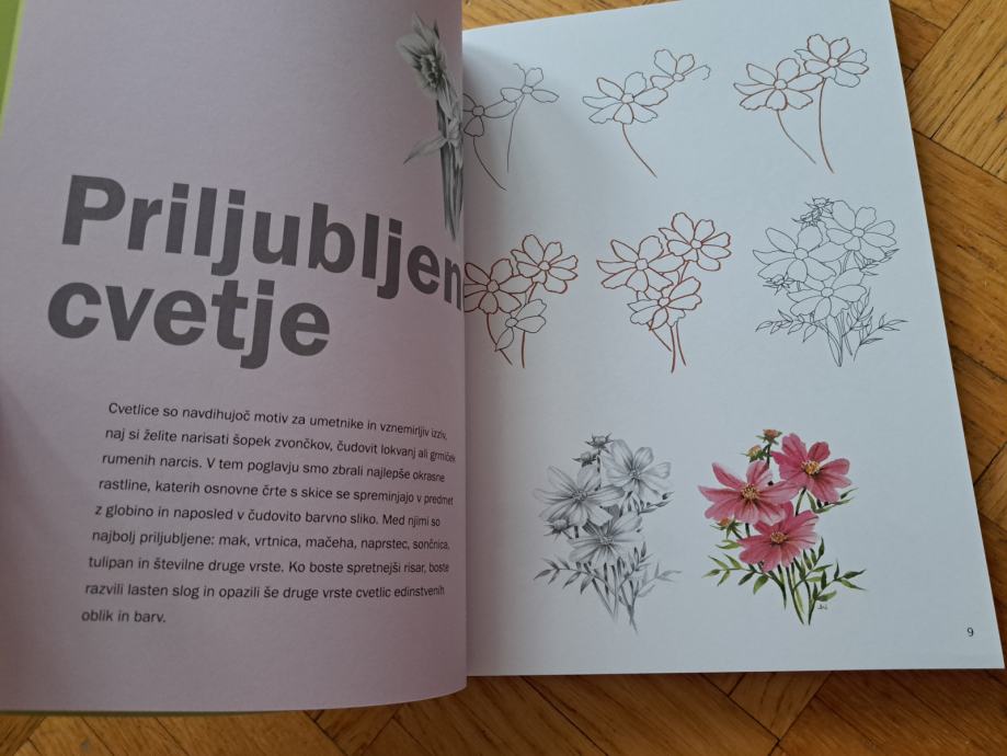 NAUČIMO SE RISATI CVETJE IN DREVESA - JANET WHISTTLE, PENNY BROWN,...