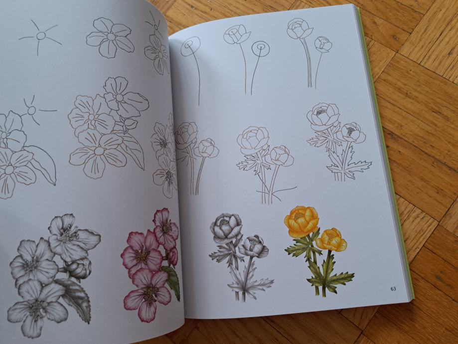 NAUČIMO SE RISATI CVETJE IN DREVESA - JANET WHISTTLE, PENNY BROWN,...