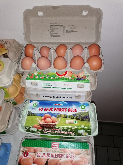 Domača kokošja jajca