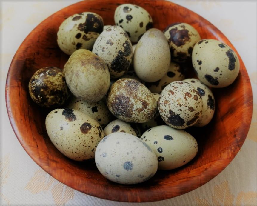 Prepeličja jajca