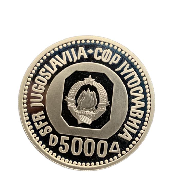 (8109) Srebrnik 925/1000 5000 dinarjev Vuk Karadžić; masa=17.08g