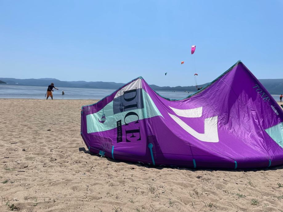 Kite Duotone Dice 9 m 2021