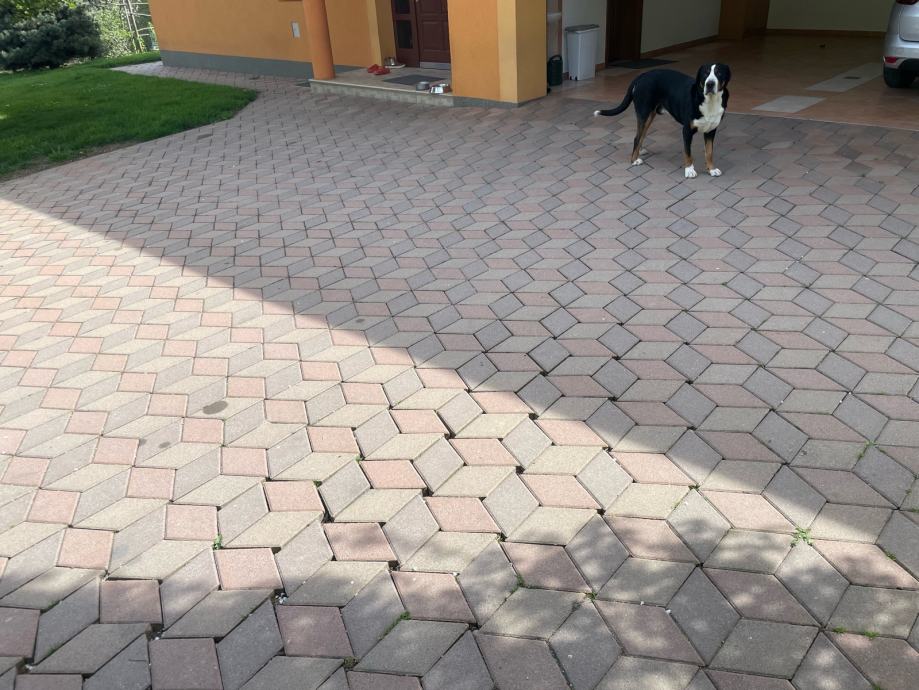 Tlakovci rabljeni