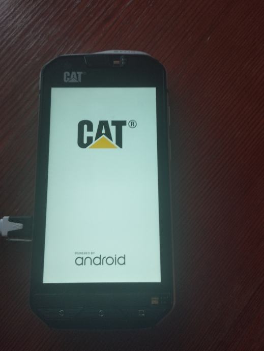 cat s60