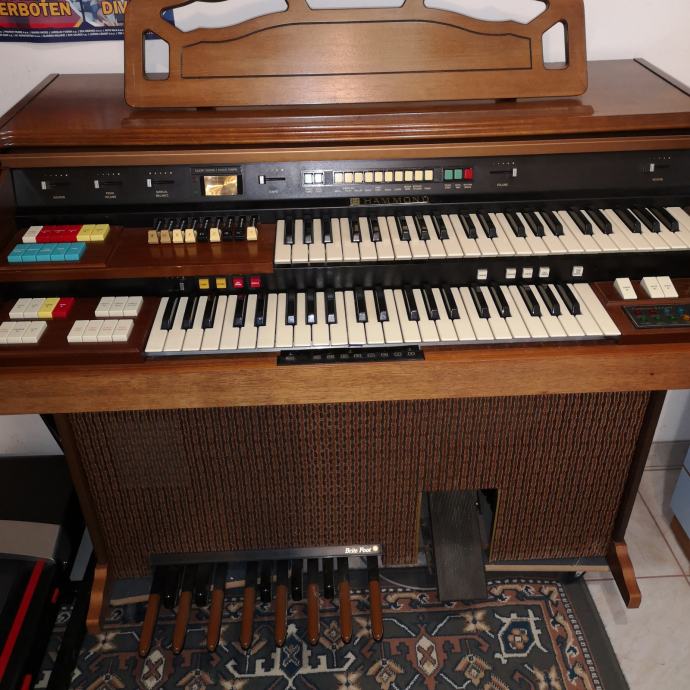 Orgle Hammond