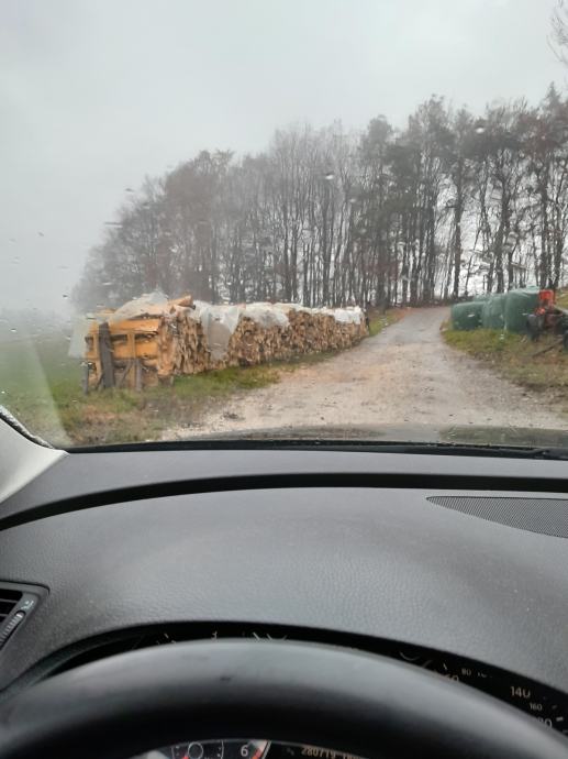 Bukov les drva