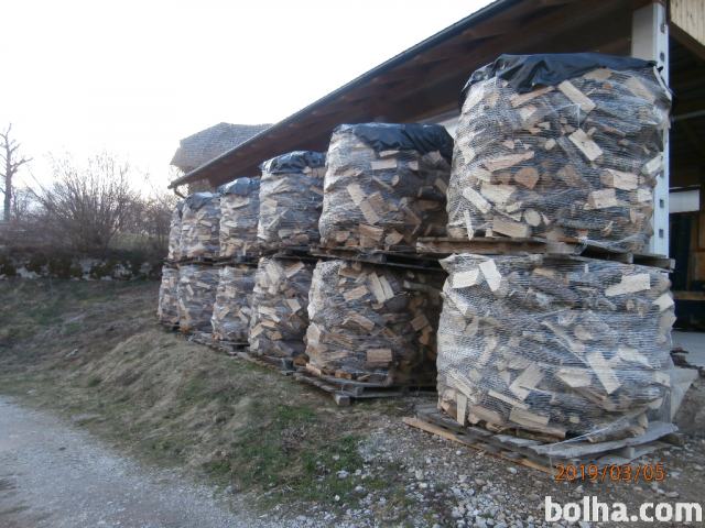 DRVA BUKEV HRAST (IVANČNA GORICA)