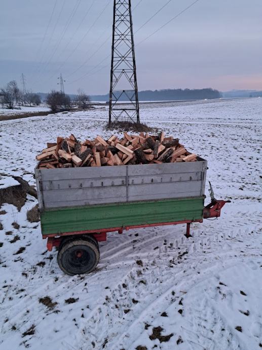 Drva, bukev, jesen in hrast