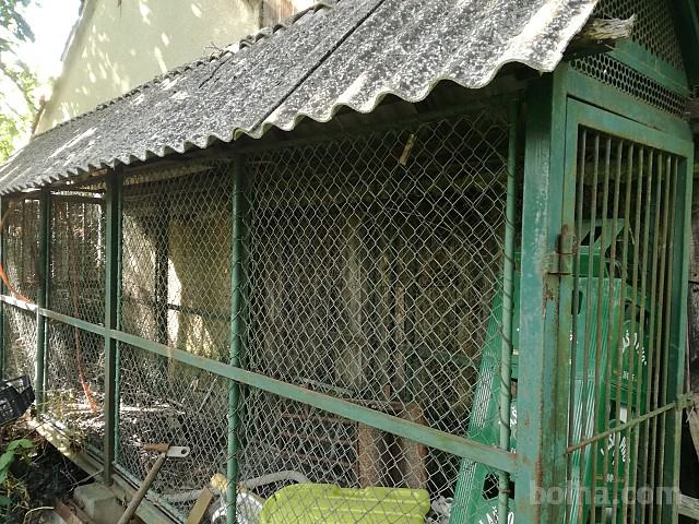 Koruznjak