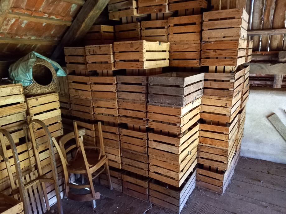 SAMO ŠE 12 GAJBIC - PRODANO ŽE VEČ KOT 25O!