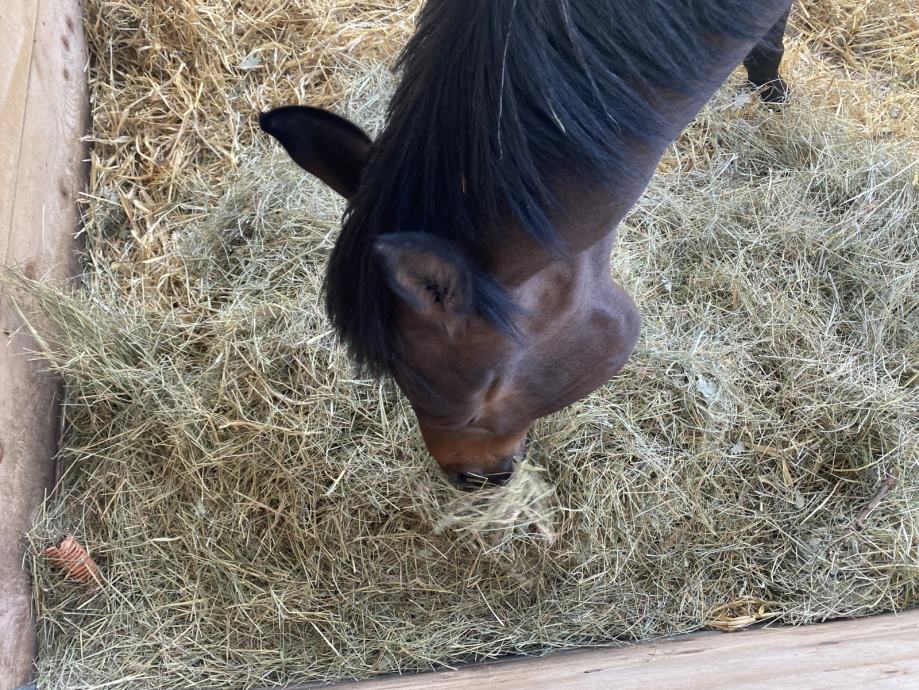 Lokavec pri Ajdovscini