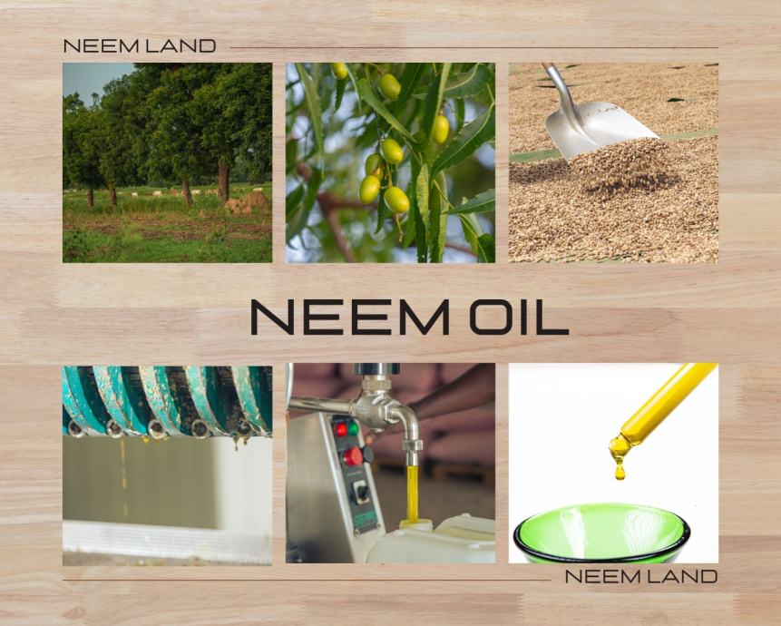 Neem olje 1000 ml - 100 % ekološka pridelava