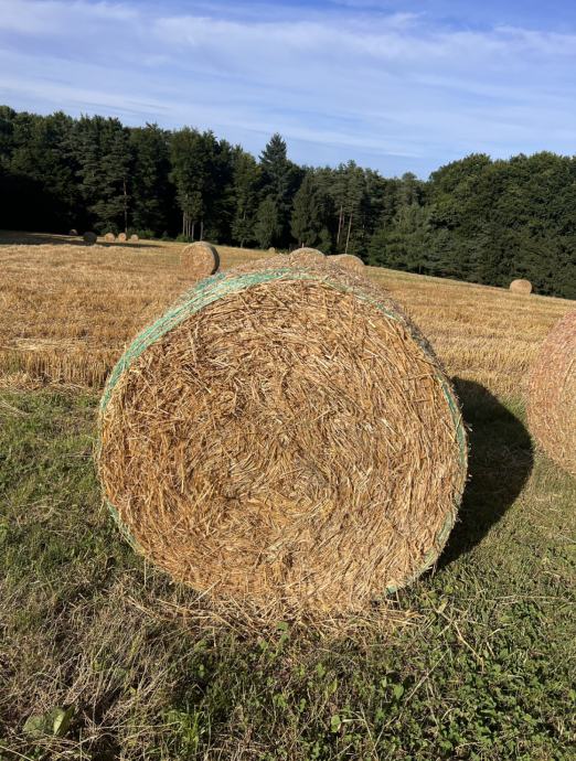Okrogle bale slame