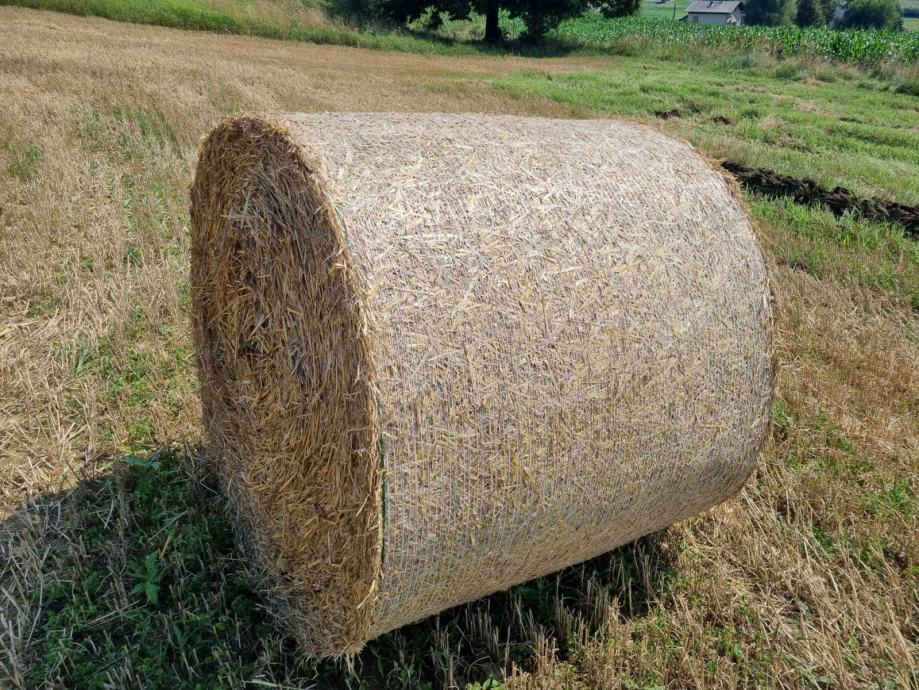 okrogle bale slame