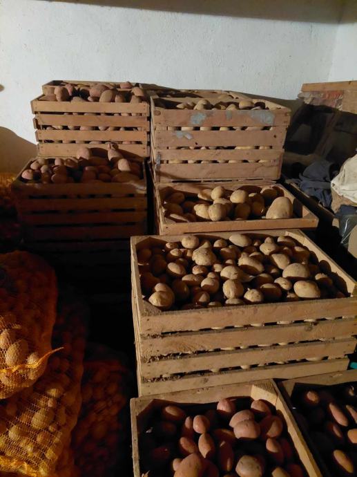 Prodam krompir treh vrst 1€/kg