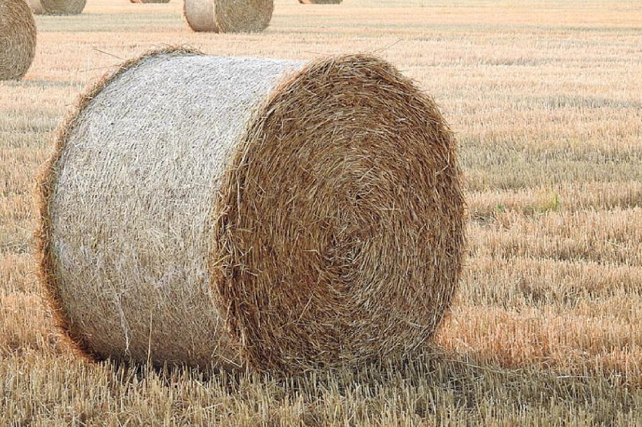 Prodam okrogle bale slame.