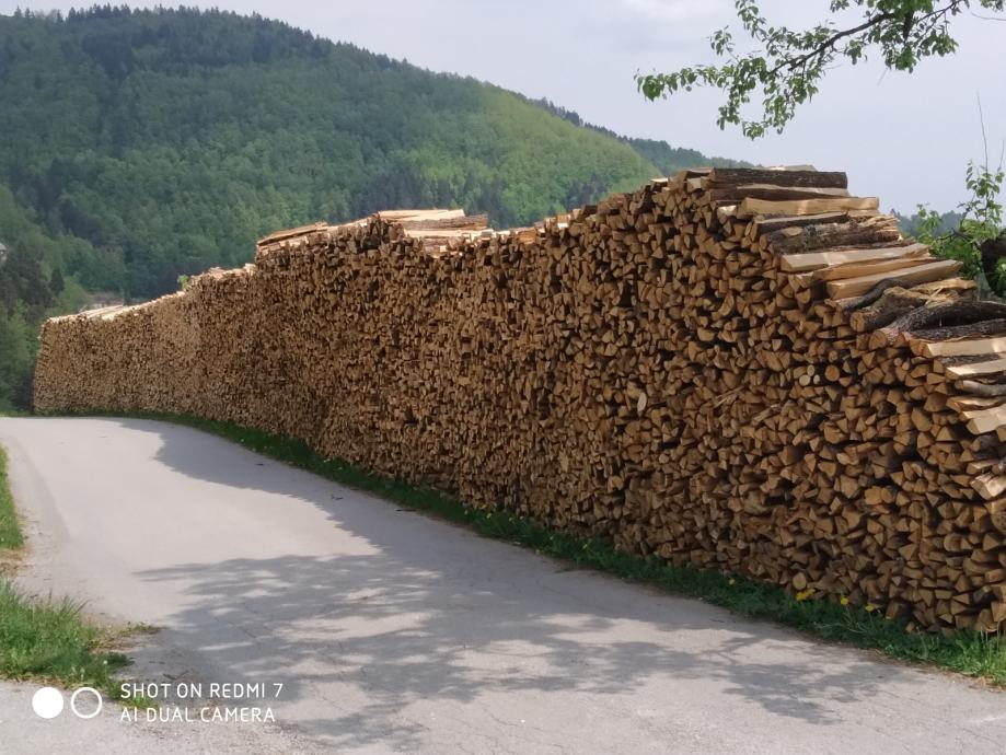 PRODAM DRVA SUHI HRAST IN BUKEV Z RAZREZOM IN DOSTAVO