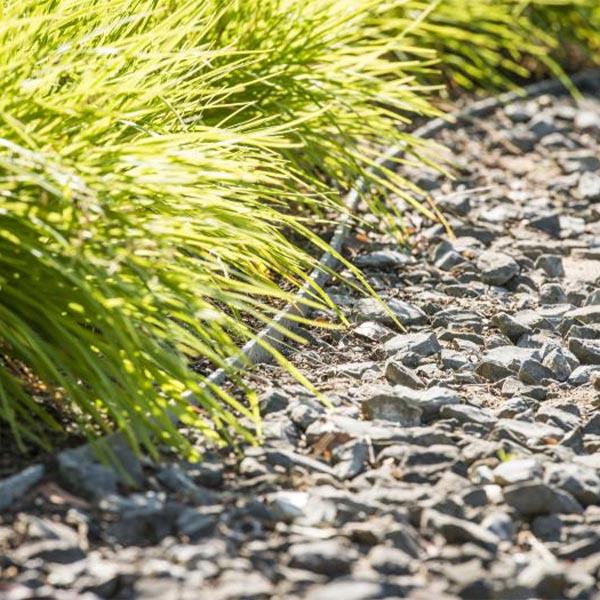 Profesionalna obroba gredic Ecolat, 14 cm x 0,7cm x 25m