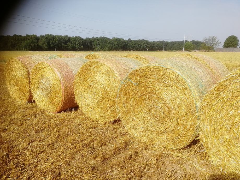 slama, okrogle bale